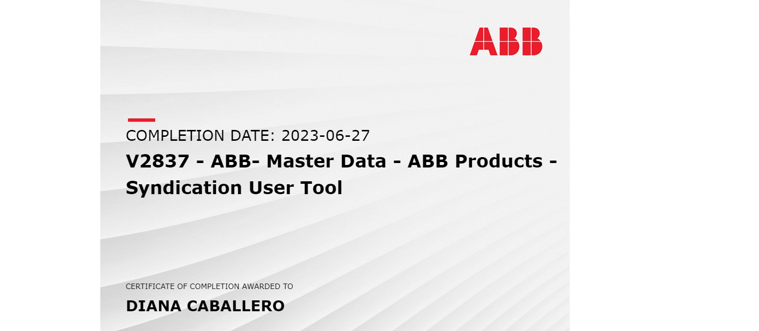 Diana Isabel Caballero Ayala - Industrial Engineering | Master data ...